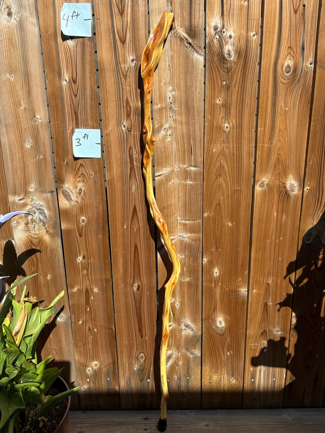 Diamond Willow Walking Stick - Etsy