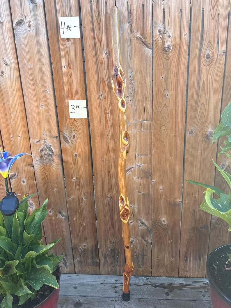 Diamond Willow Walking Stick - Etsy