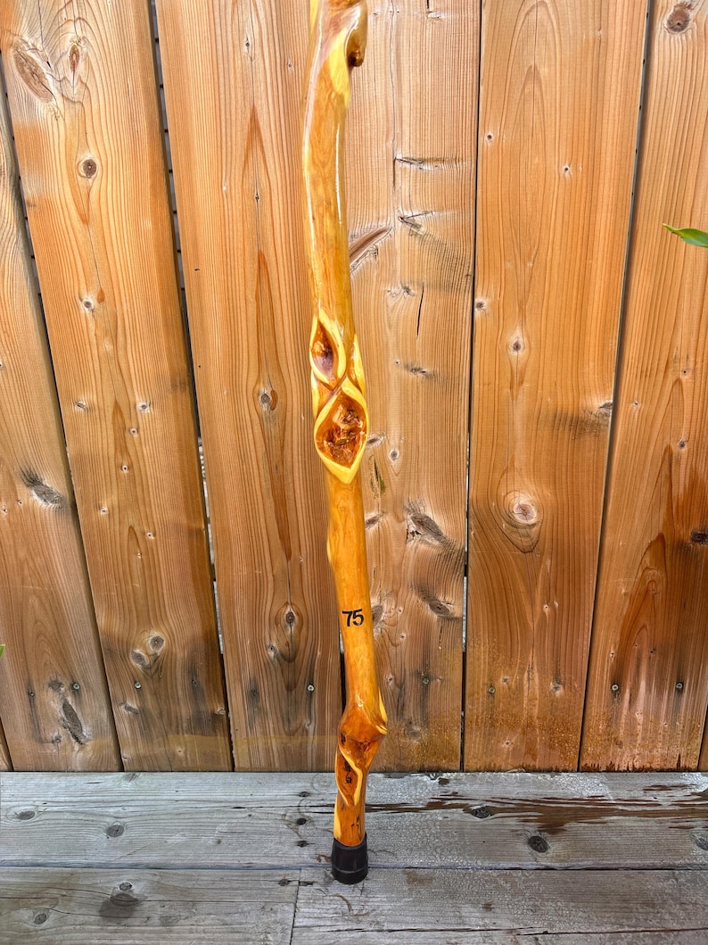 Diamond Willow Walking Stick - Etsy