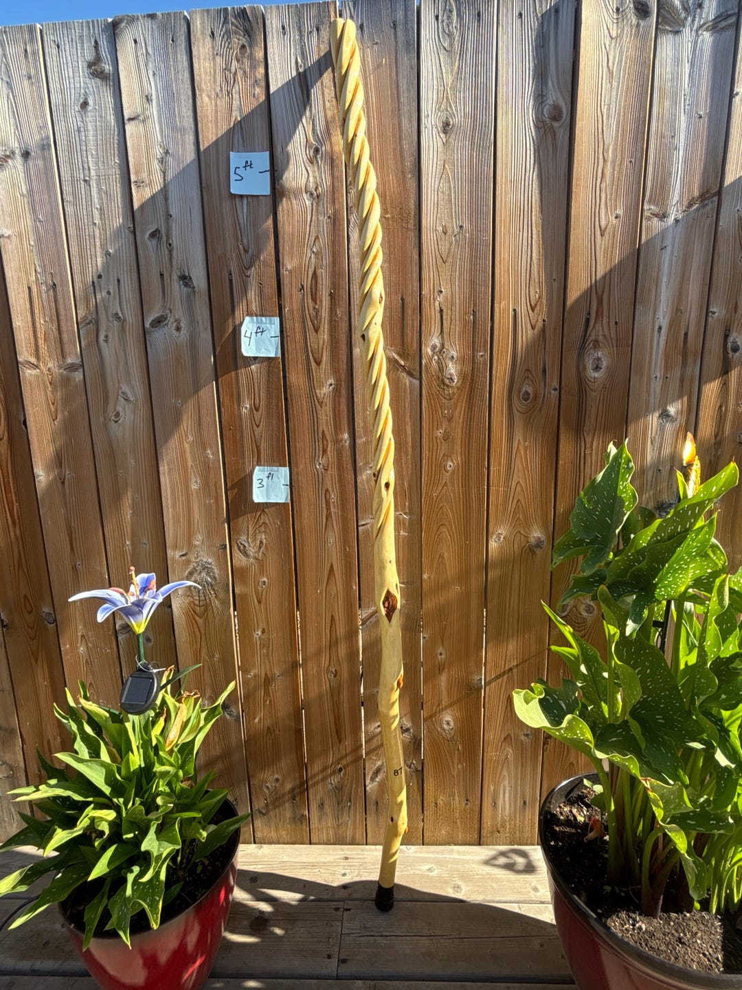 Diamond Willow Walking Stick - Etsy