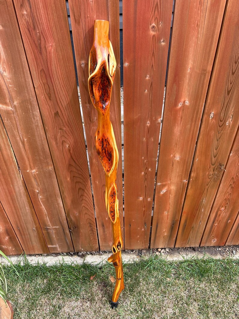 Diamond Willow Walking Stick - Etsy