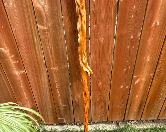 Diamond Willow Walking Stick - Etsy