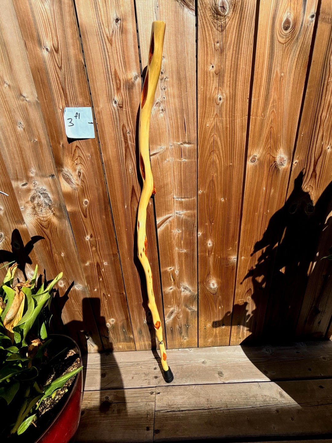Diamond Willow Walking Stick - Etsy