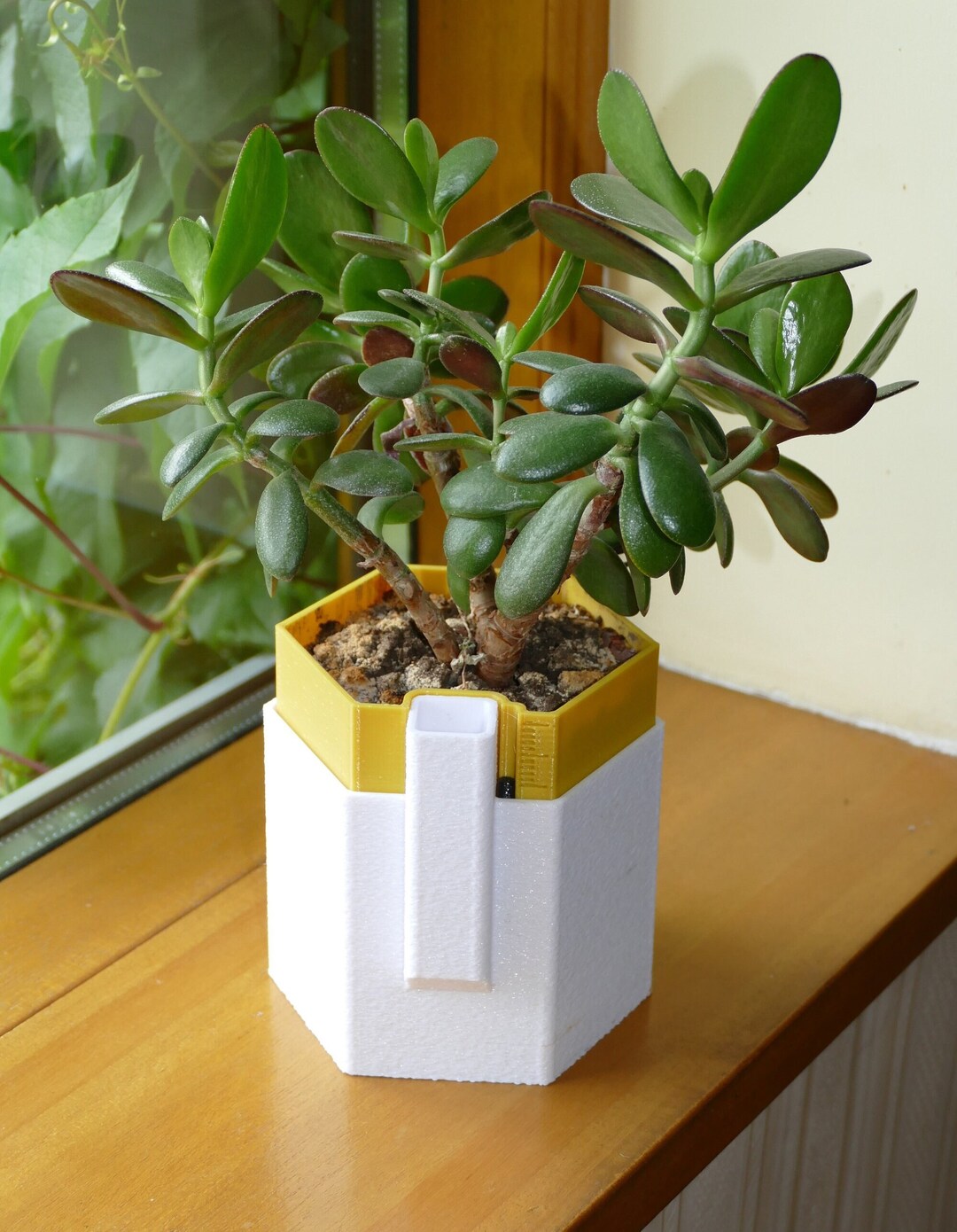 Self-watering Fuzzy Hexagon Planter With Hidden Water Reservoir Fuzzy ...