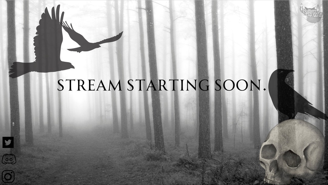 Crow Stream Package - Etsy