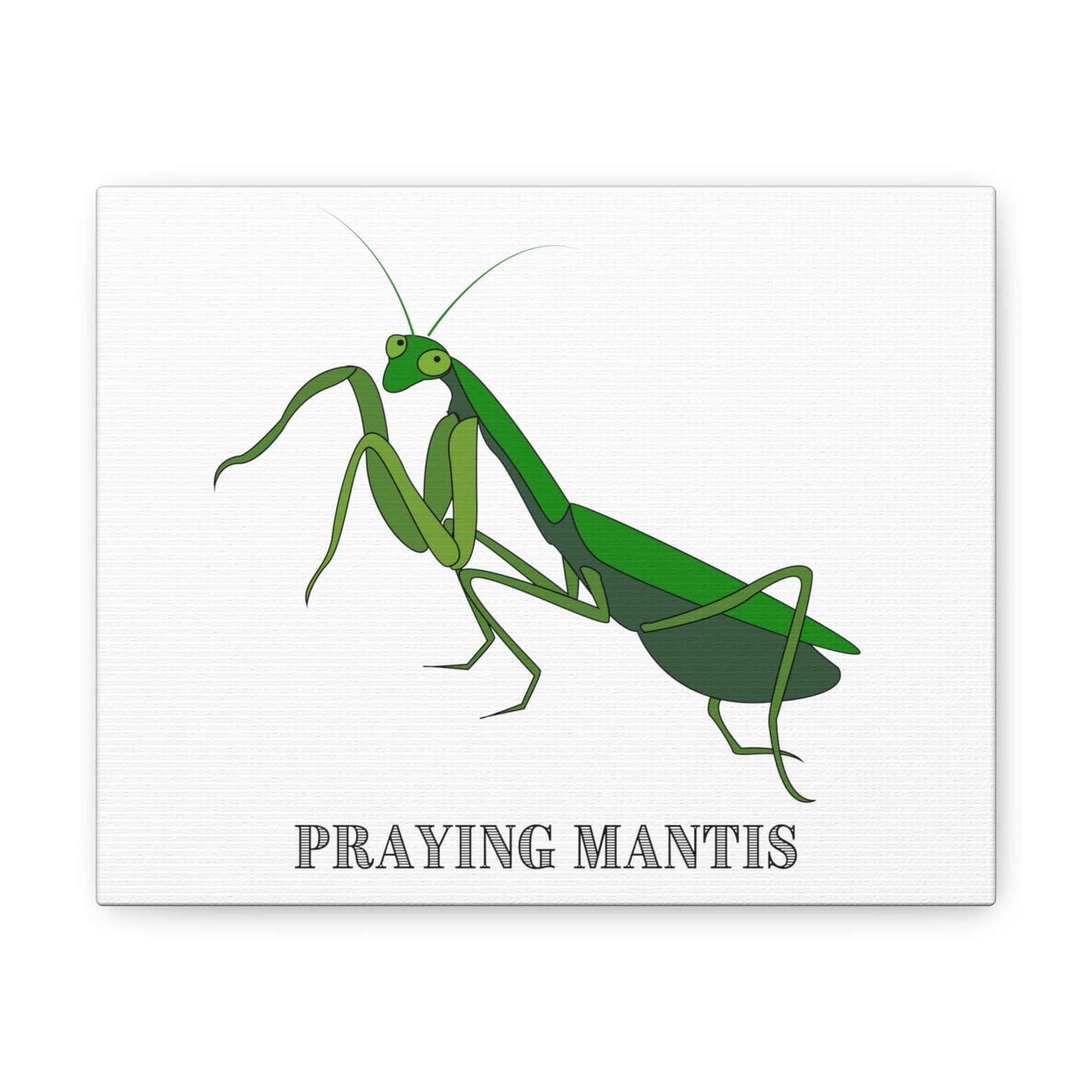 Praying Mantis Art Praying Mantis Wall Art Gift for Praying Mantis ...