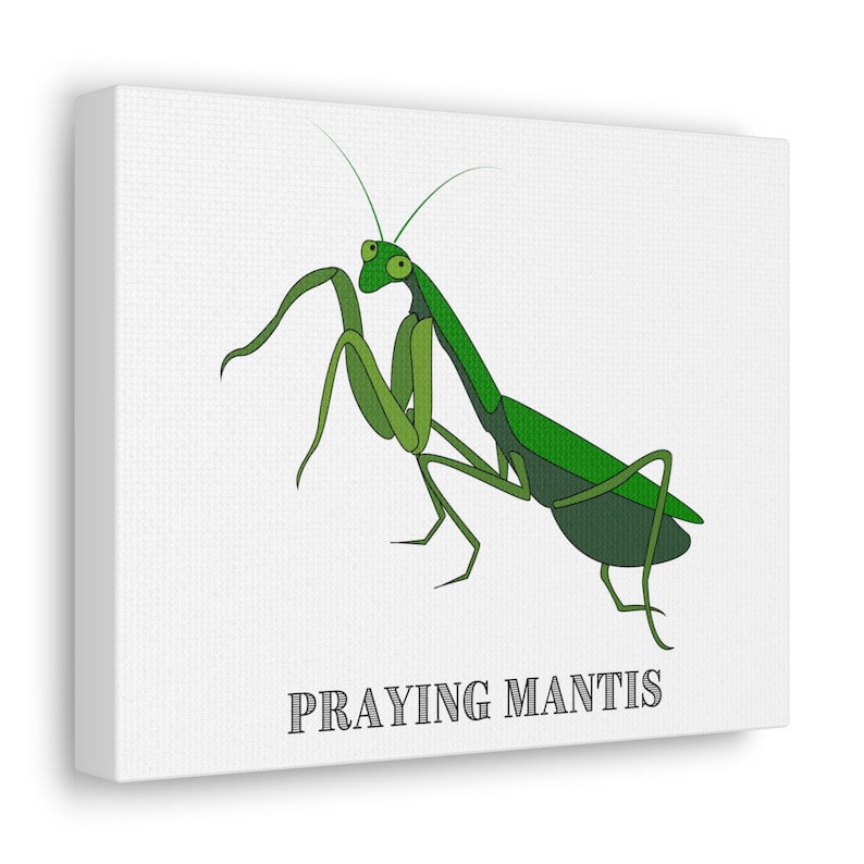 Praying Mantis Art Praying Mantis Wall Art Gift for Praying Mantis ...