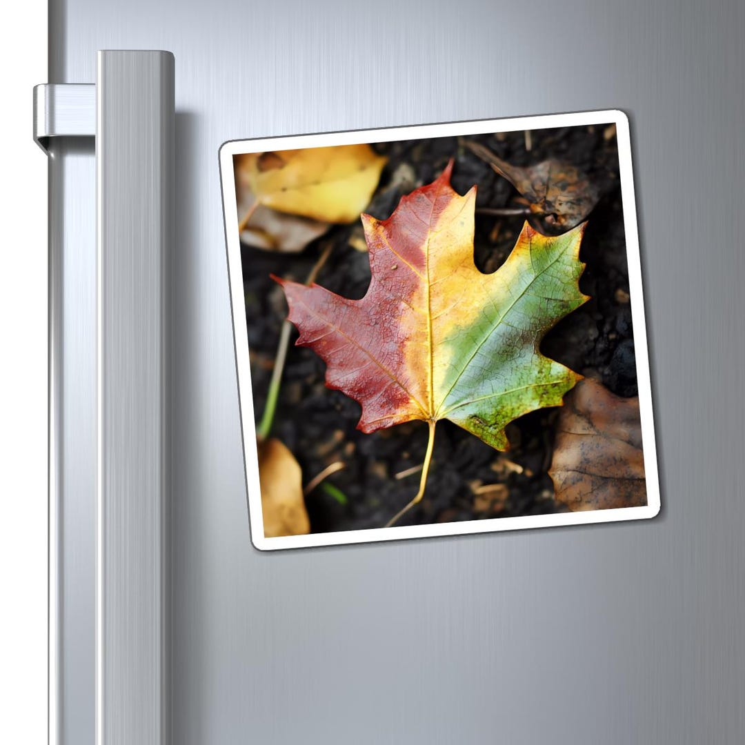 Fall Leaf Magnet Red Yellow Green Leave Magnet Autumn Magnet Fall ...