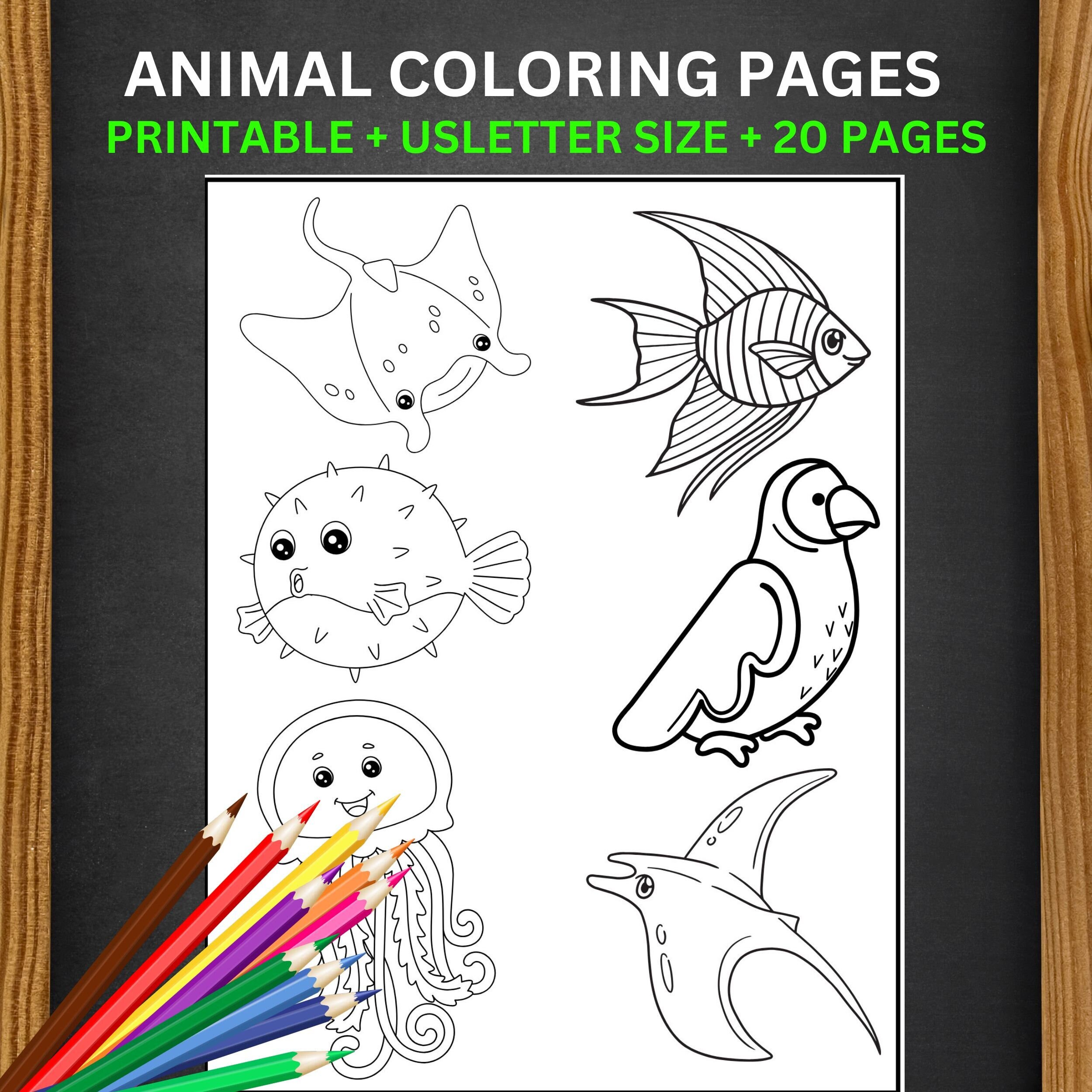 20 Wild Animal Coloring Pages for Kids-digital Printable Jungle Safari ...
