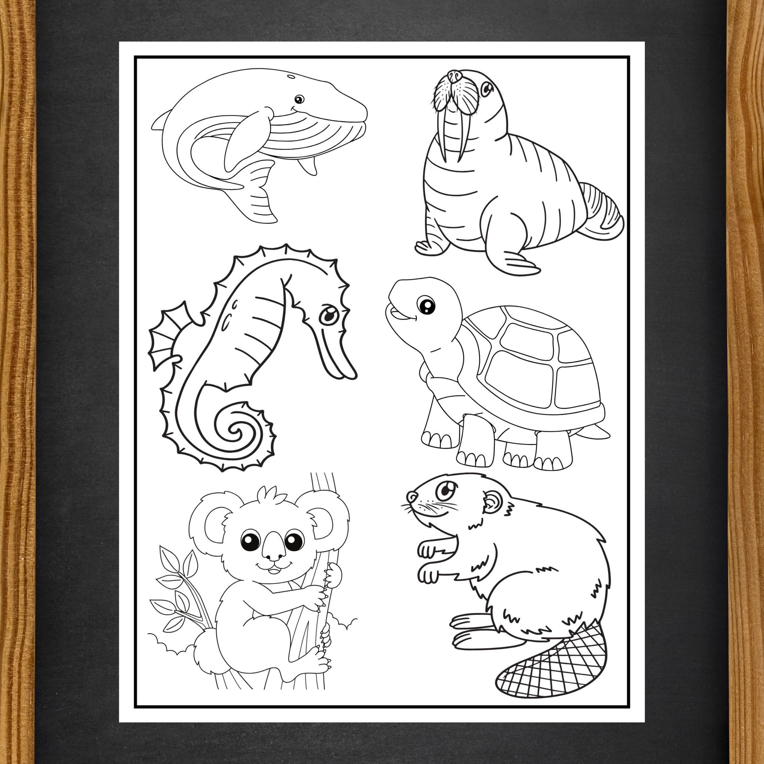 20 Wild Animal Coloring Pages for Kids-digital Printable Jungle Safari ...