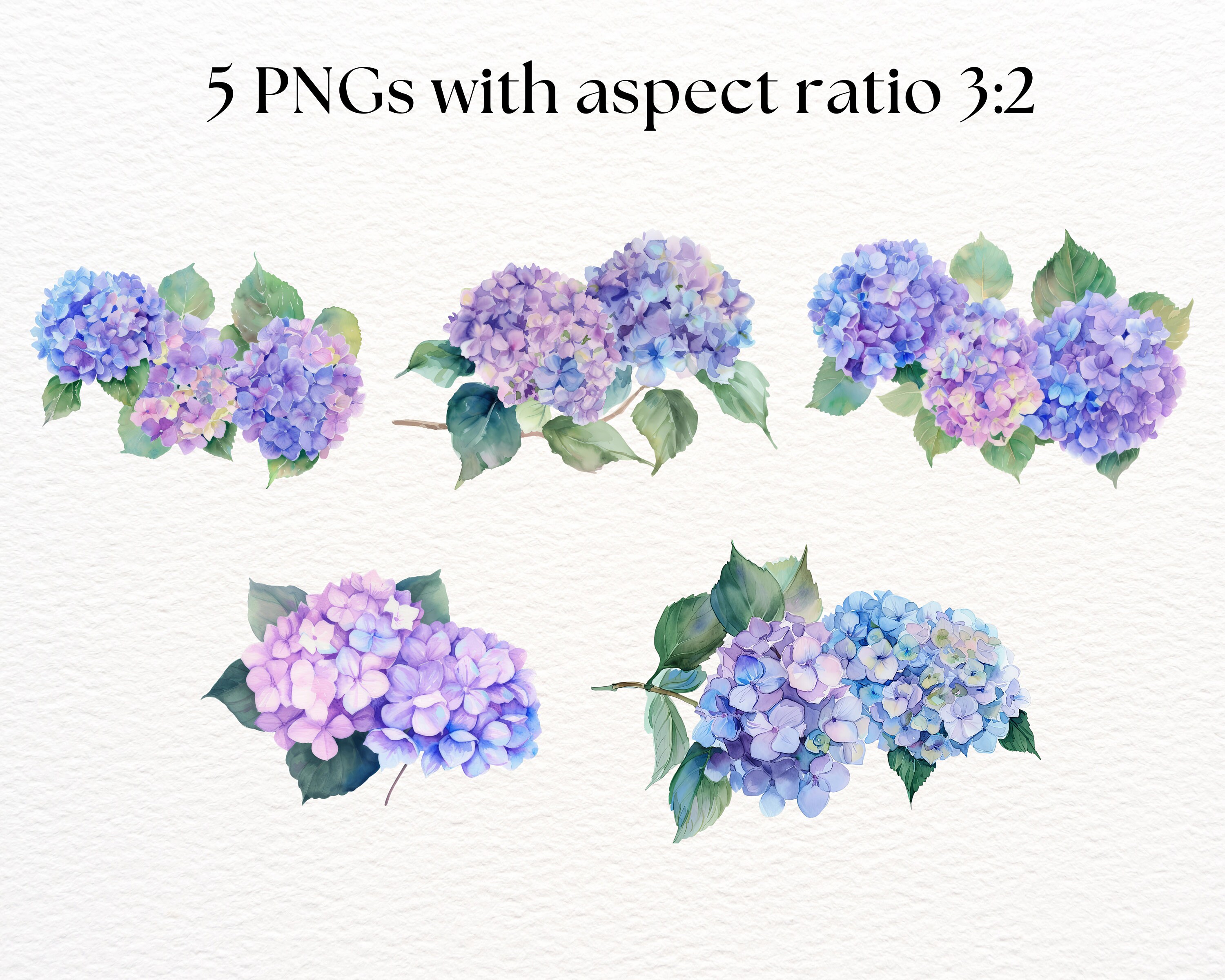 Hydrangea Watercolor Clipart, Watercolor Hydrangea Floral Clipart ...