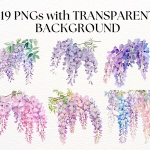 Wisteria Clipart | Watercolor Clipart | Paper Crafts | Purple Flowers ...
