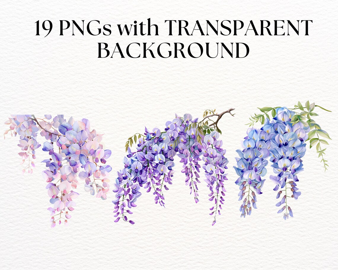 Wisteria Clipart | Watercolor Clipart | Paper Crafts | Purple Flowers ...