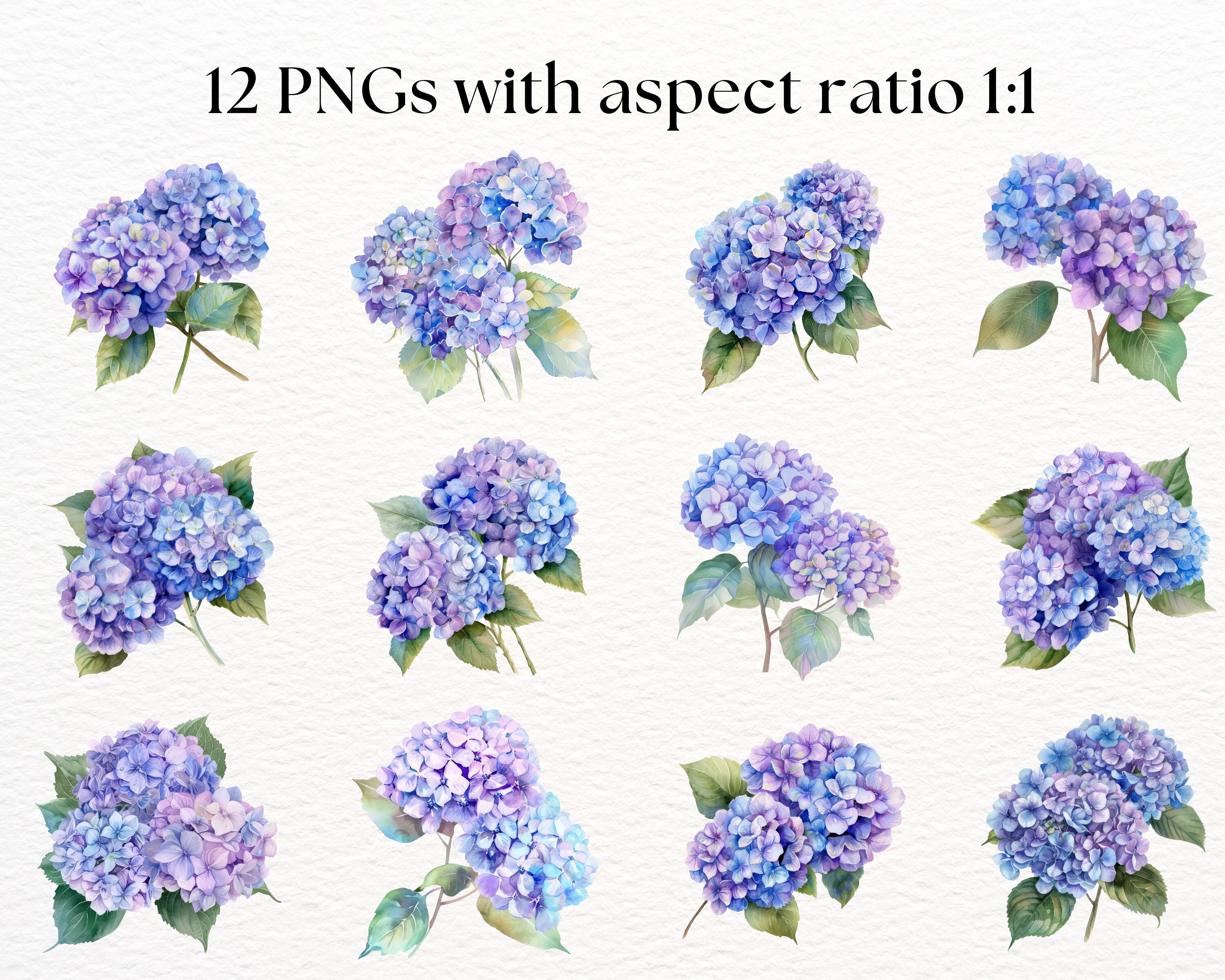 Hydrangea Watercolor Clipart, Watercolor Hydrangea Floral Clipart ...