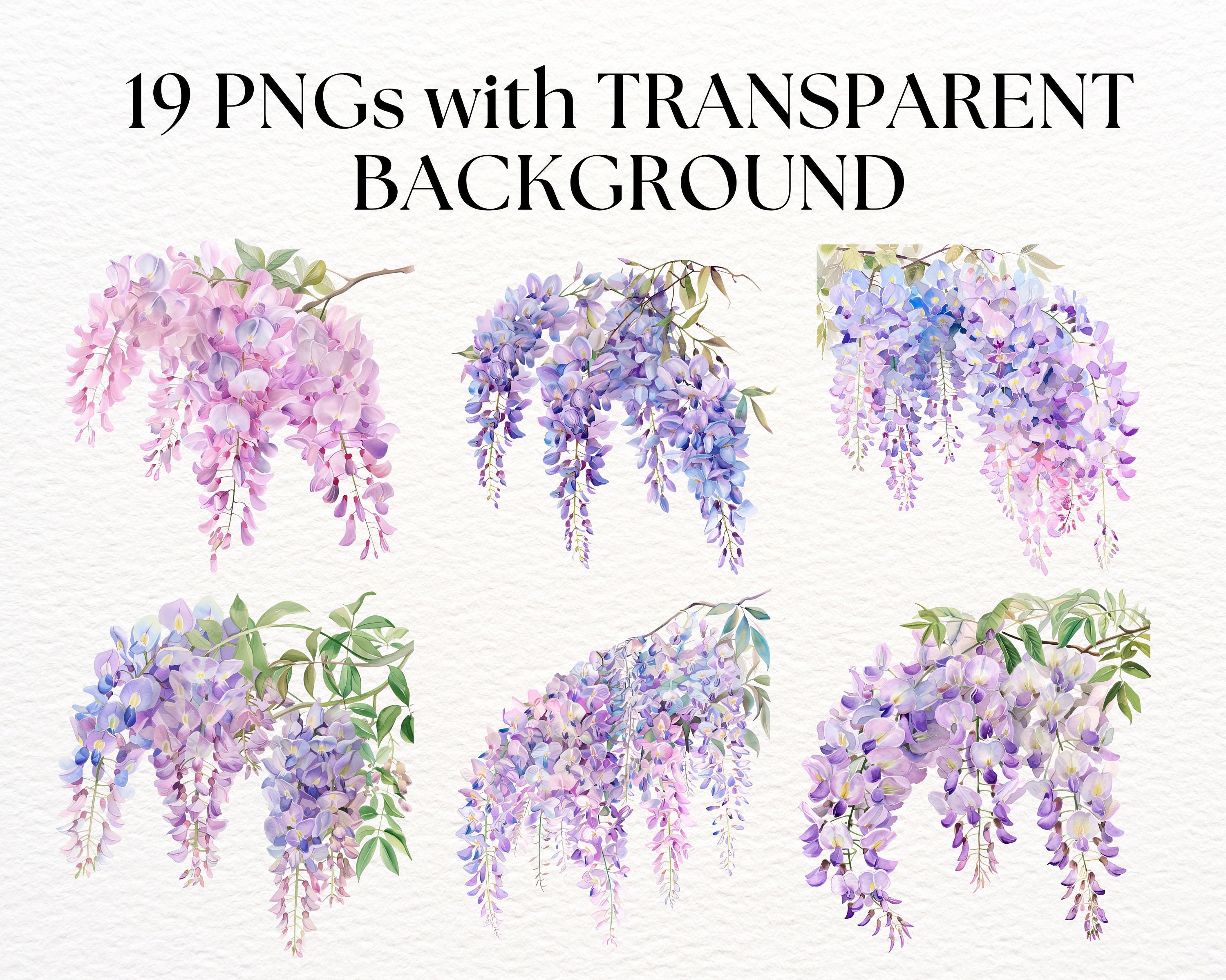 Wisteria Clipart Watercolor Clipart Paper Crafts Purple Flowers ...