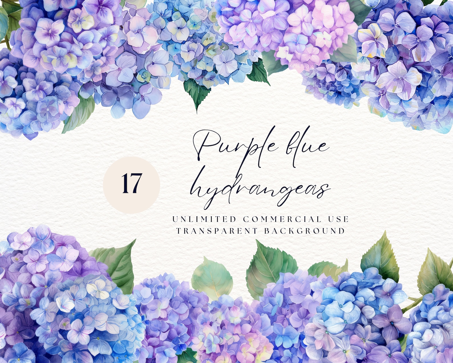 Hydrangea Watercolor Clipart, Watercolor Hydrangea Floral Clipart ...
