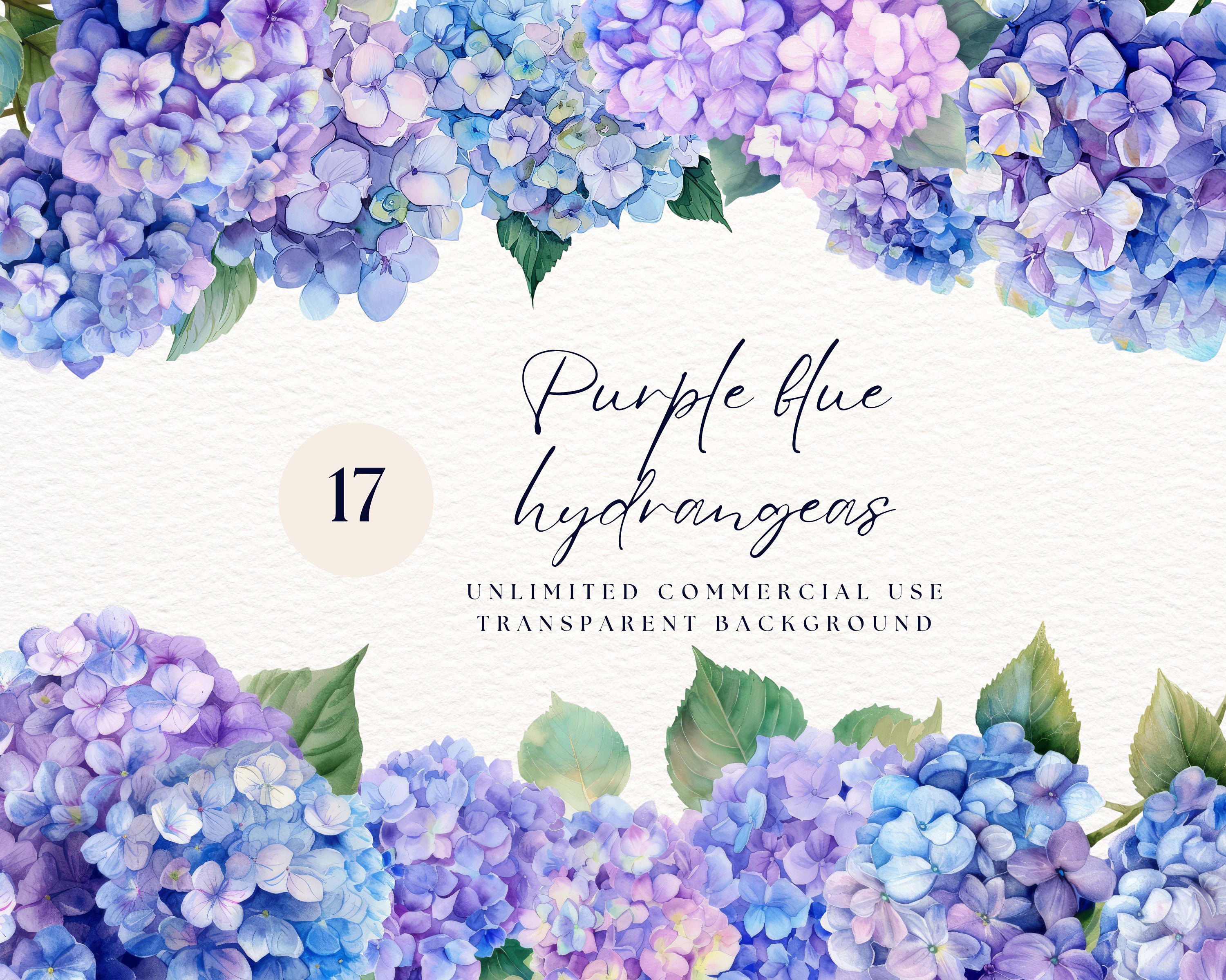 Hydrangea Watercolor Clipart, Watercolor Hydrangea Floral Clipart ...