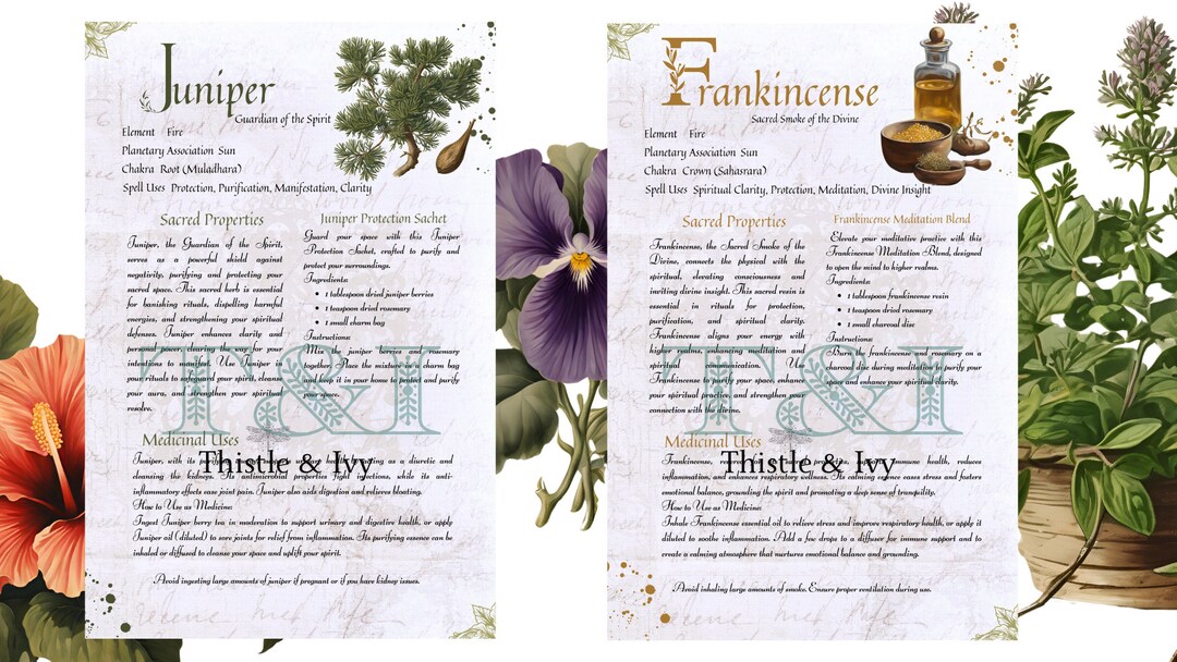 Protection Spell Grimoire & Journal Pages | Digital Witchcraft Paper ...