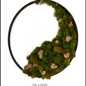 Round Living Wall Moss Mirror I Real Reindeer Moss Round Mirror I ...