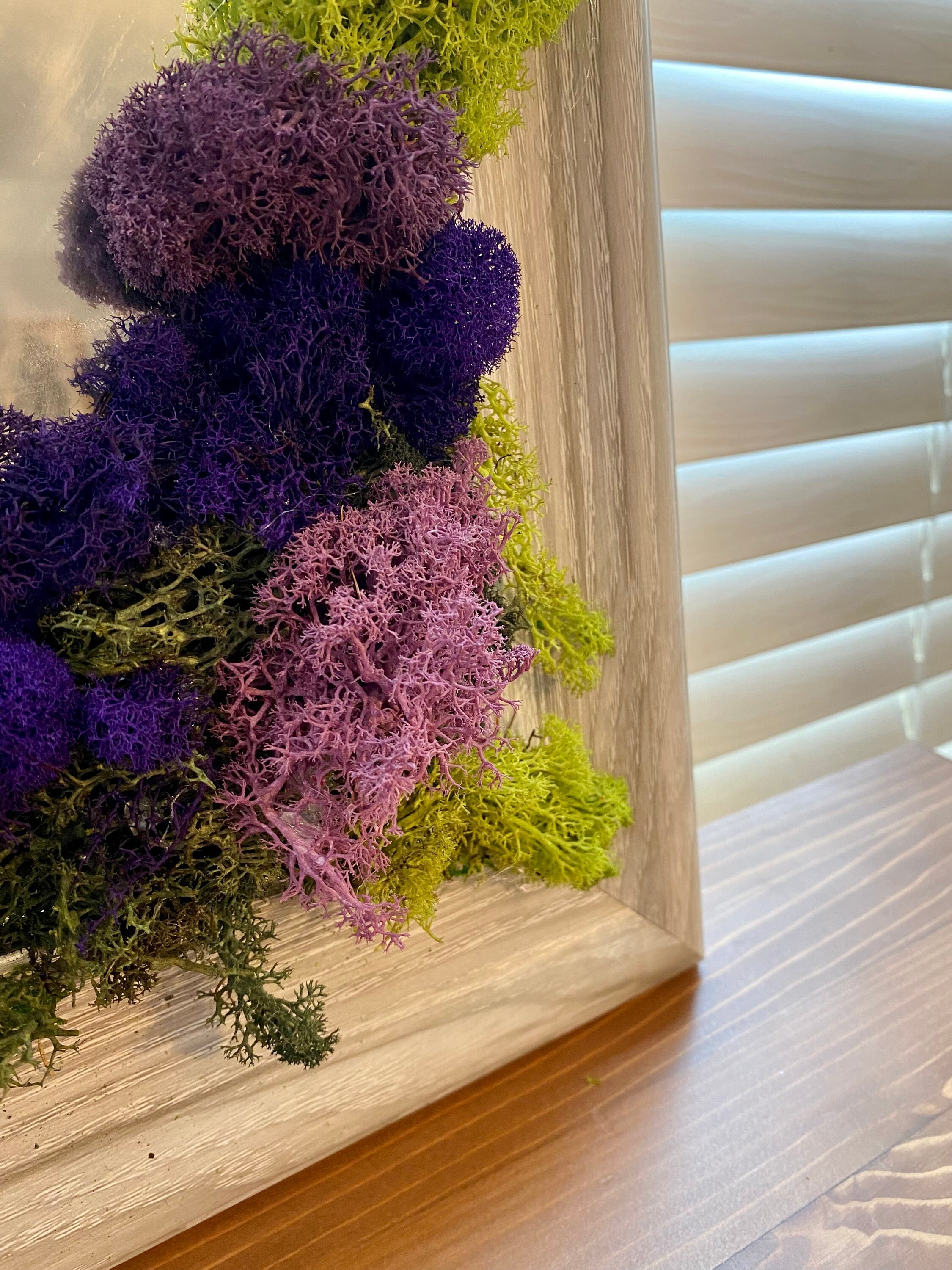 Giant Moss Mirror Living Wall Art With Real Preserved Reindeer Moss for ...