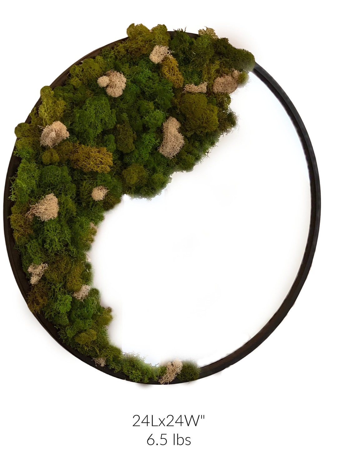 Round Living Wall Moss Mirror I Real Reindeer Moss Round Mirror I ...