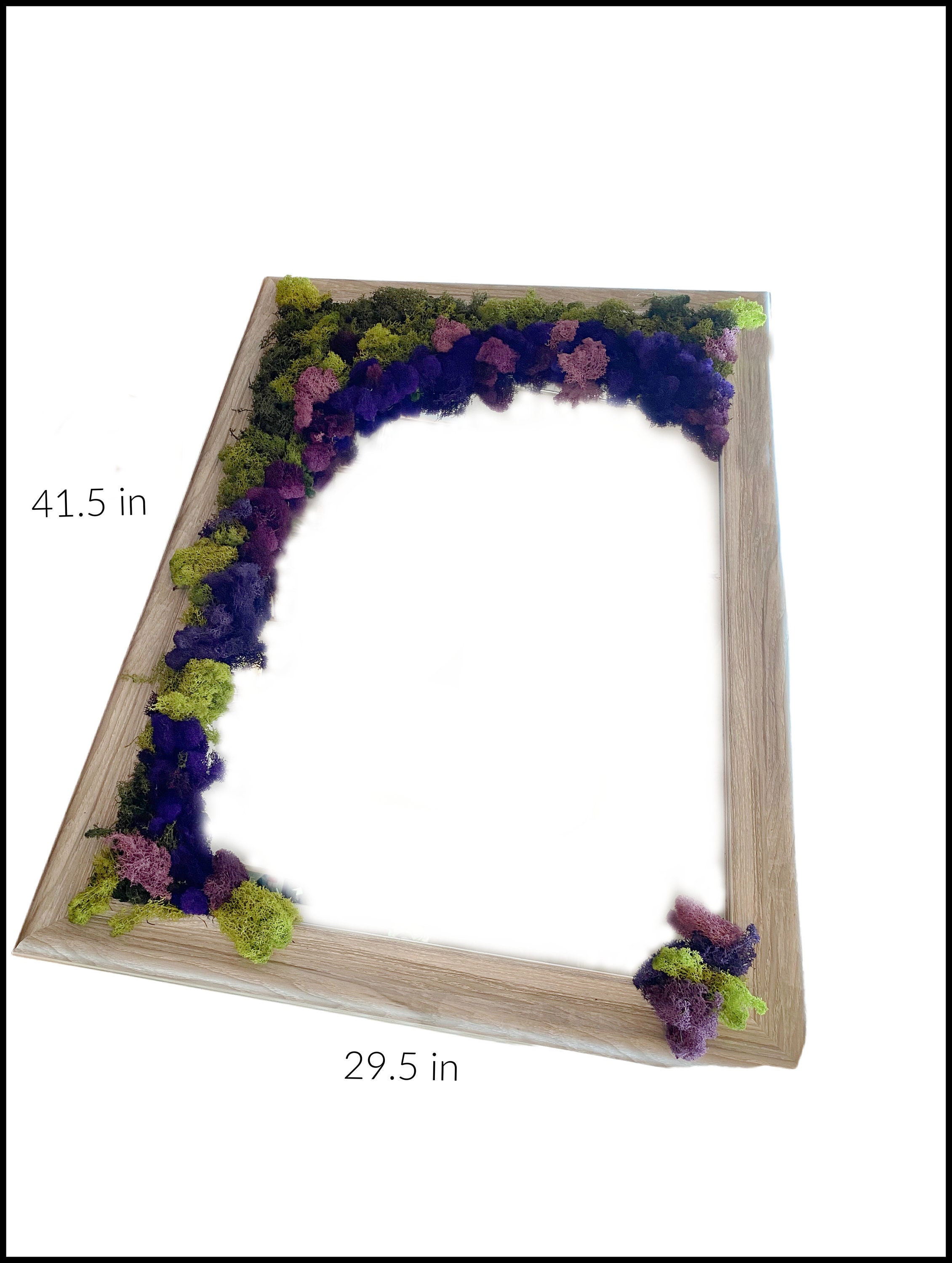 Giant Moss Mirror Living Wall Art With Real Preserved Reindeer Moss for ...