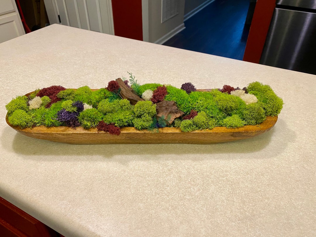 Giant 20x6 Handmade Wooden Dough Bowl With Preserved Reindeer Moss and ...