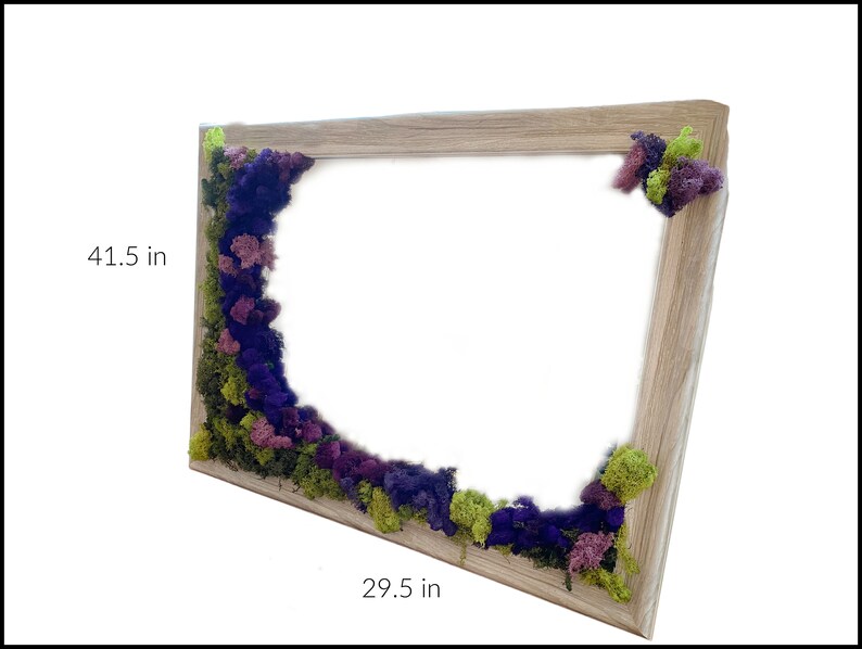 Giant Moss Mirror Living Wall Art With Real Preserved Reindeer Moss for ...