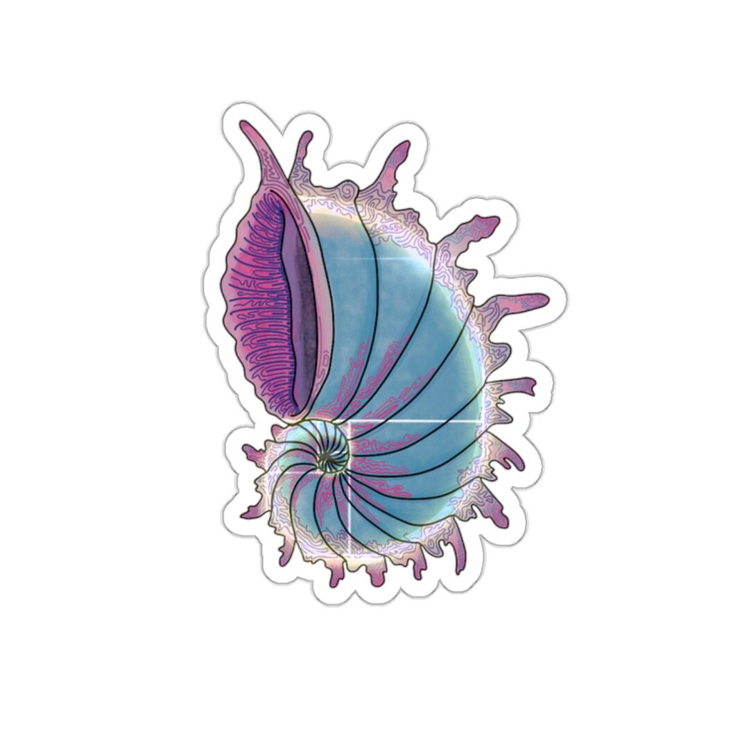 Fibonacci Sea Shell - Etsy