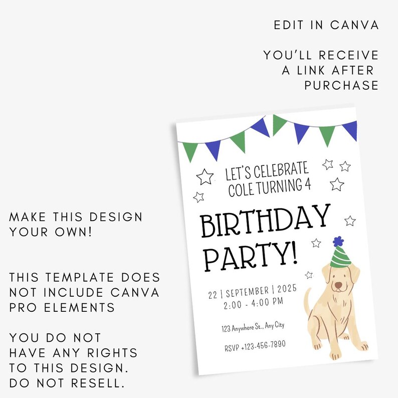 Boy Birthday Party Invitation Printable Blue Party Theme for Kids Canva ...