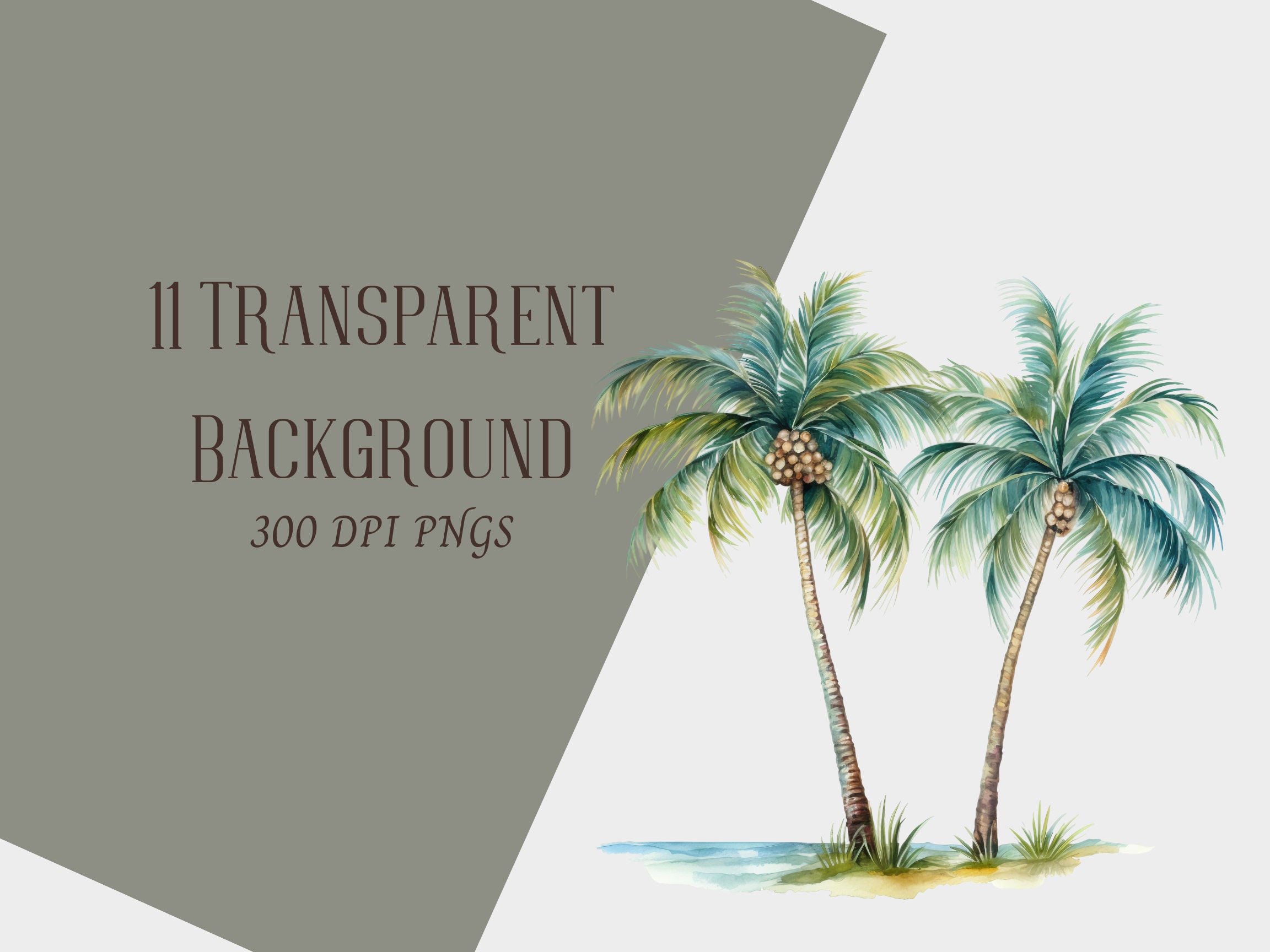 Palm Tree Clipart, Palm Tree, Watercolor Clipart, Tropical Clipart ...