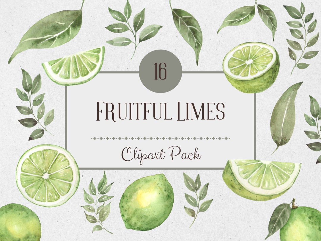 Summer Clipart, Lime Clip Art, Lime Png, Watercolor Fruit, Citrus Fruit ...