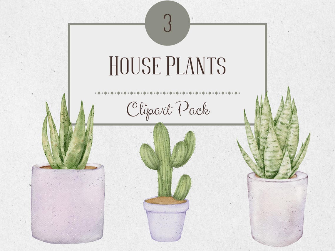 House Plant Clipart,gardening Clipart, House Plant Png, Succulent ...