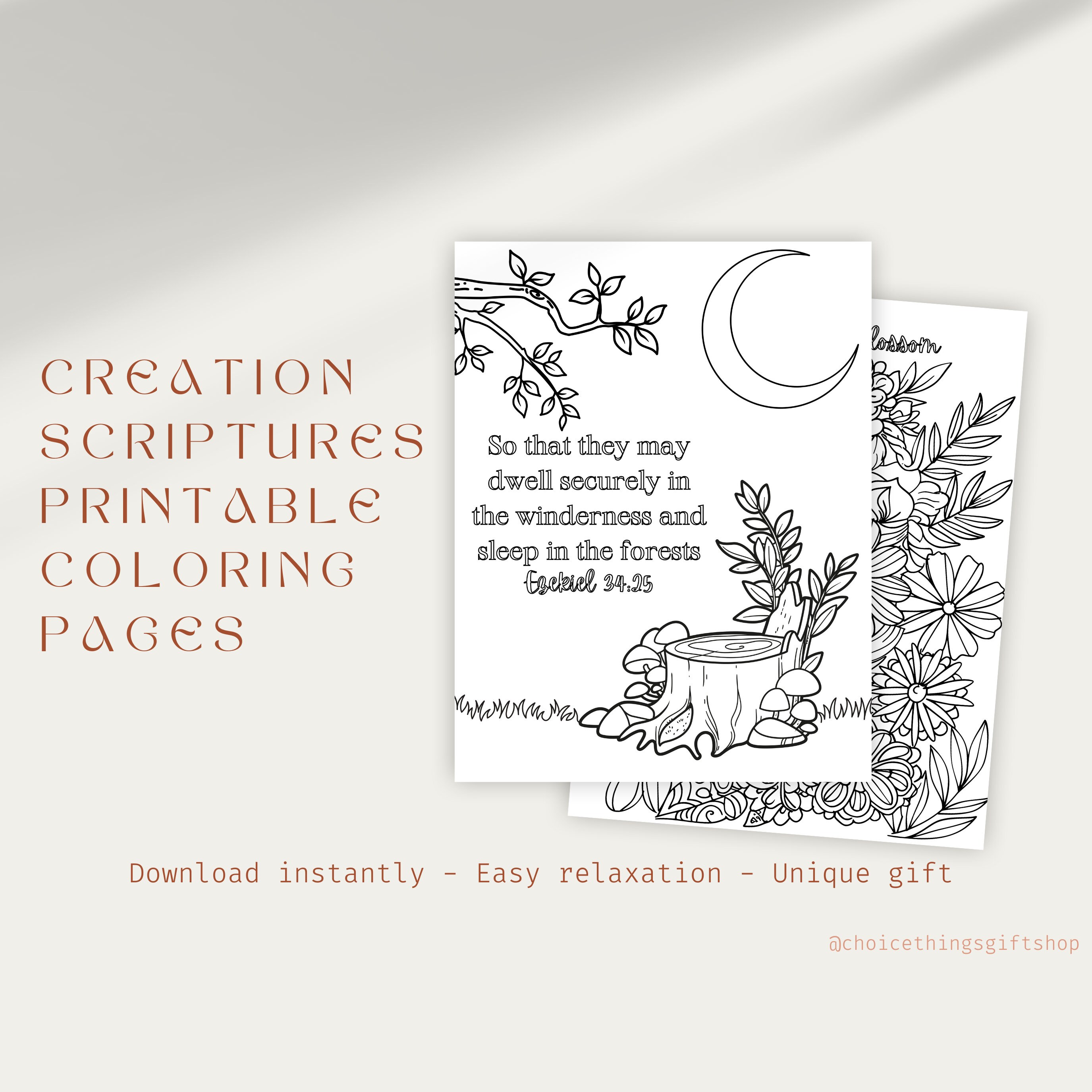 Creation Scriptures Coloring Pages | JW Digital Download | 5 Pack ...