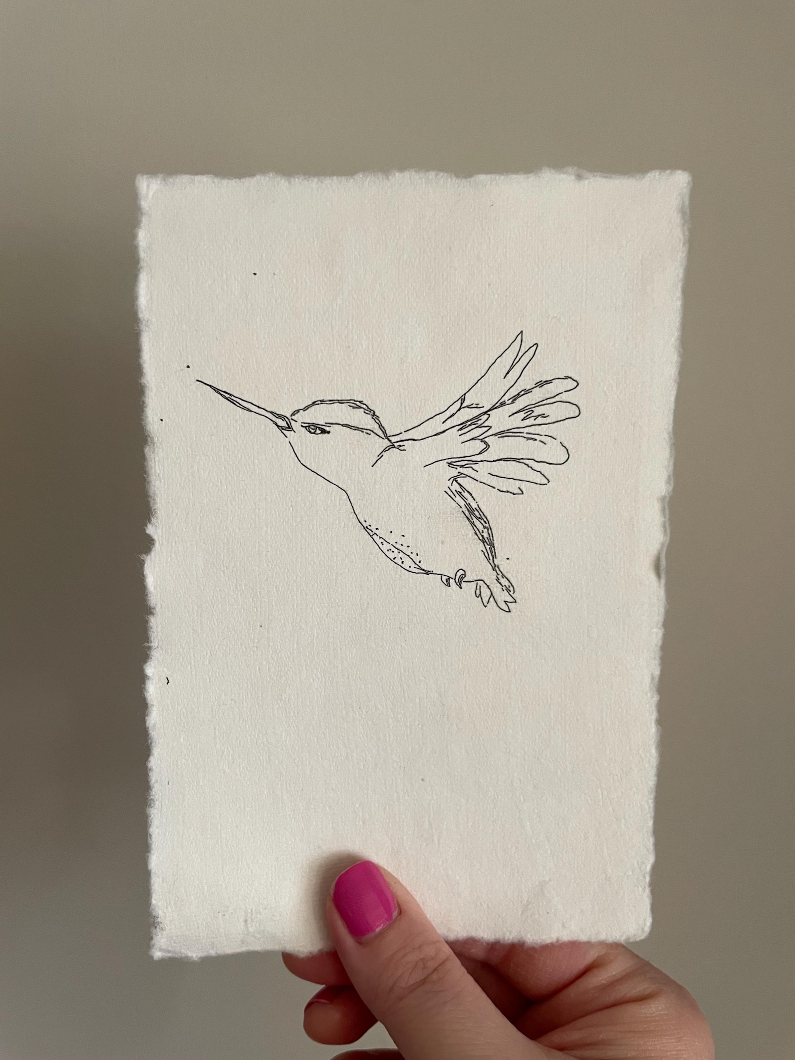 Hummingbird Sketch Art Print. Pen and Ink Drawing. Original ...