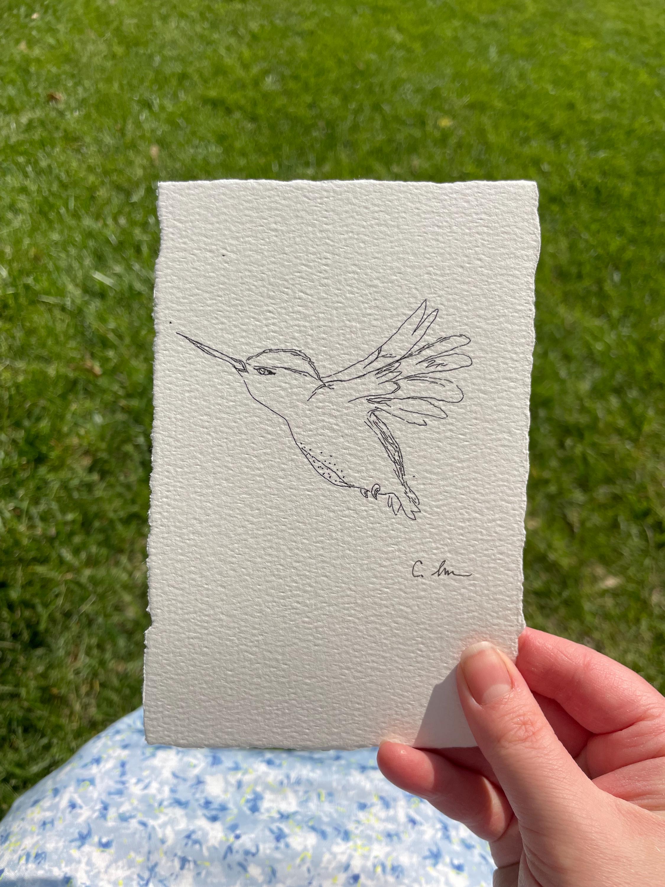 Hummingbird Sketch Art Print. Pen and Ink Drawing. Original ...