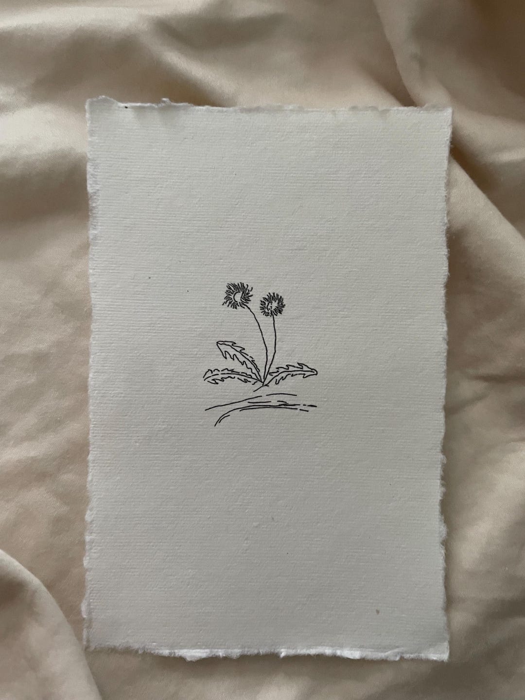 Unframed Dandelion Sketch Art Print. Pen and Ink Drawing. Original ...