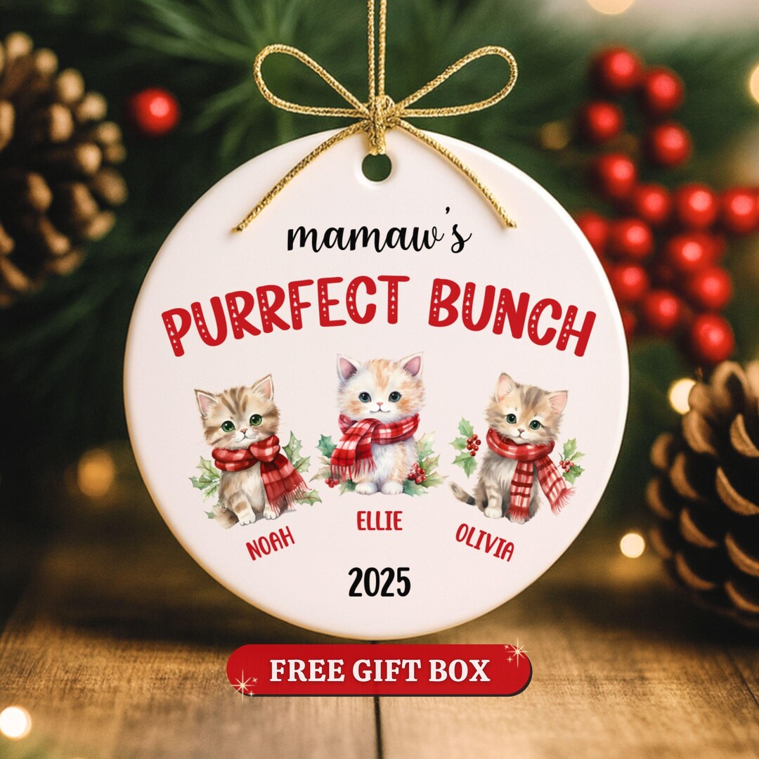 Custom Cat Grandma Ornament Grandma Fur Kids Gift With Names ...