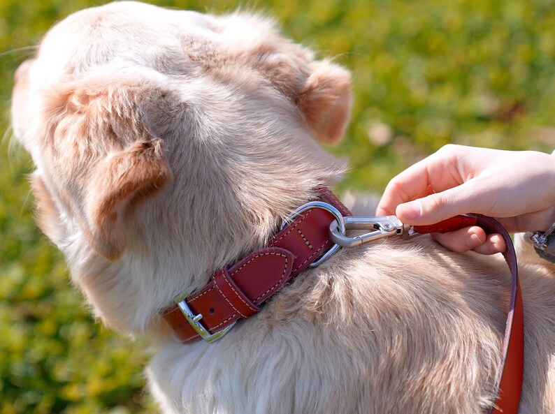 Personalized Leather Dog Collar | QR Code Id Tag Collar | Real-time ...