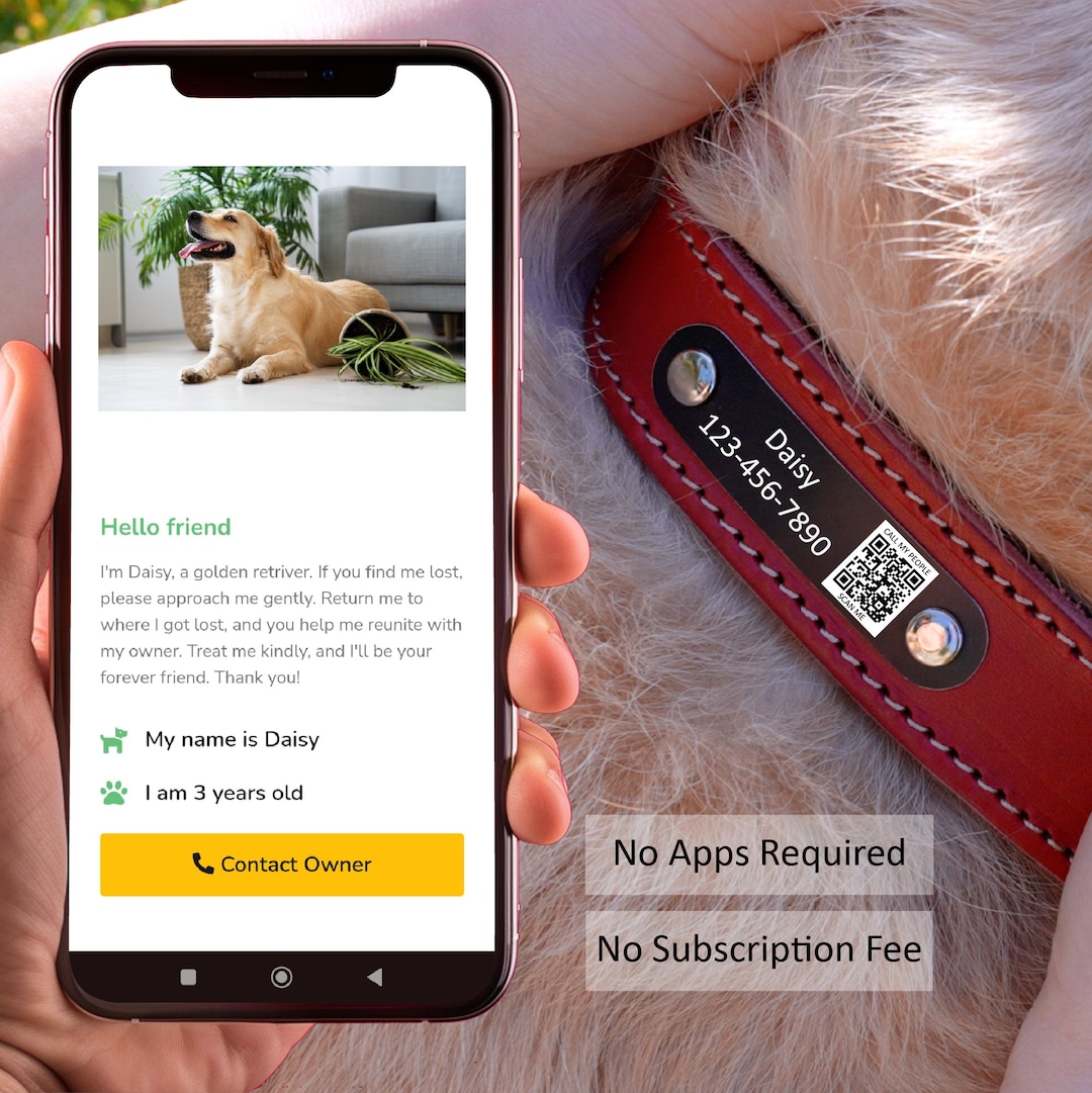 Personalized Leather Dog Collar | QR Code Id Tag Collar | Real-time ...