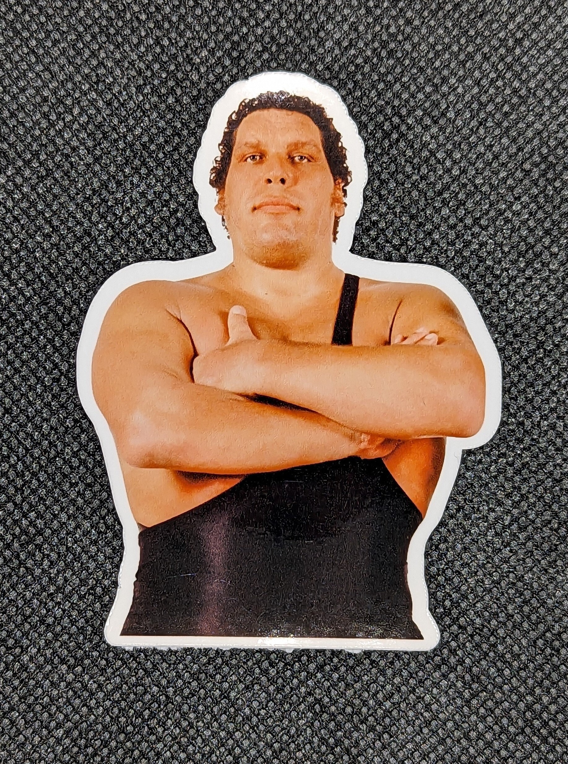 Andre the Giant Vinyl Sticker - Etsy