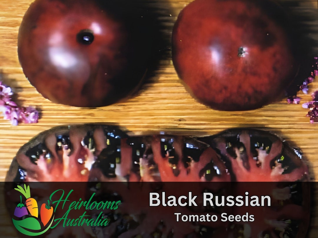 TOMATO 'black Russian' 25 Seeds Unusual Heirloom, Vegetable Garden ...