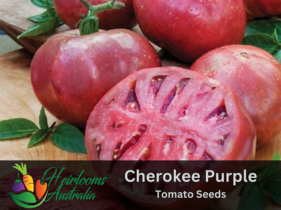 TOMATO 'cherokee Purple' 40 Seeds Heirloom Vegetable - Etsy Australia