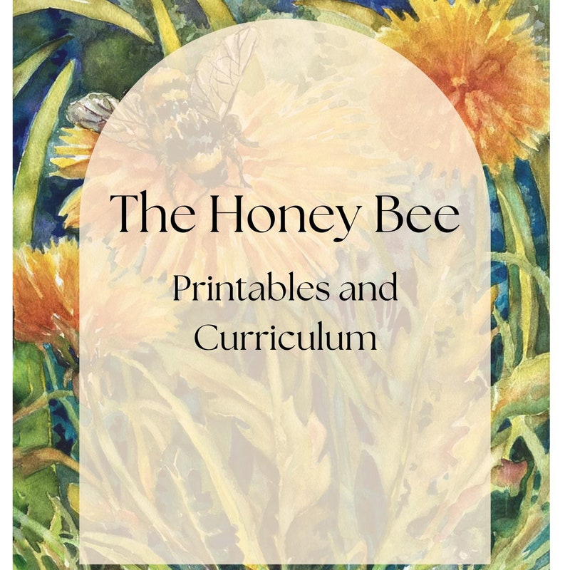 Honey Bee Unit - Etsy