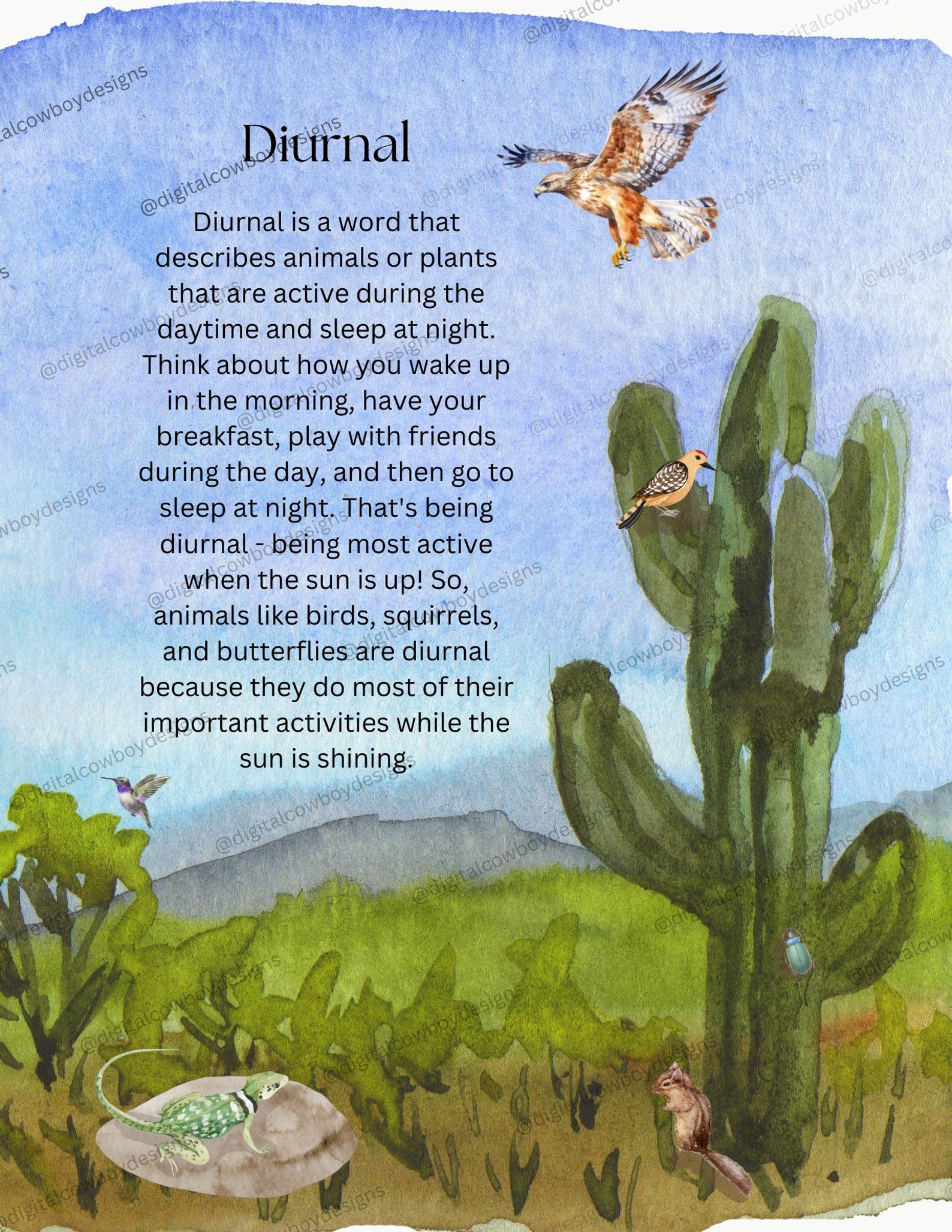 Sonoran Desert Unit Plan, Ecology Lesson Plan, Desert Curriculum ...