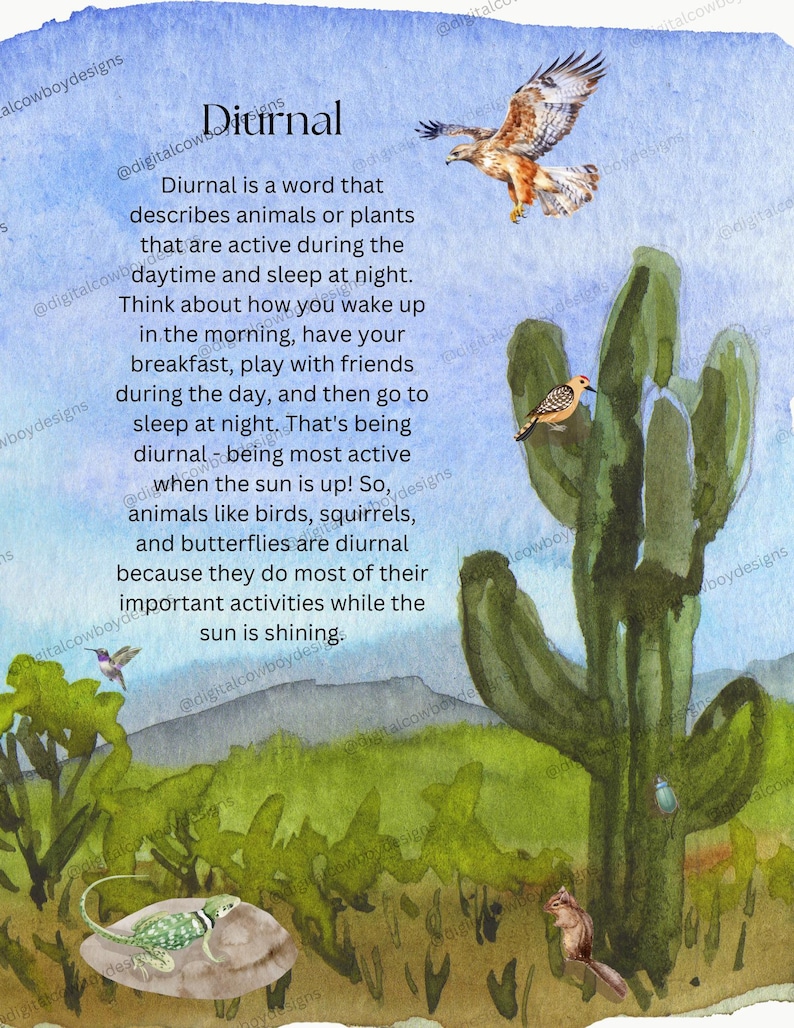 Sonoran Desert Unit Plan, Ecology Lesson Plan, Desert Curriculum ...