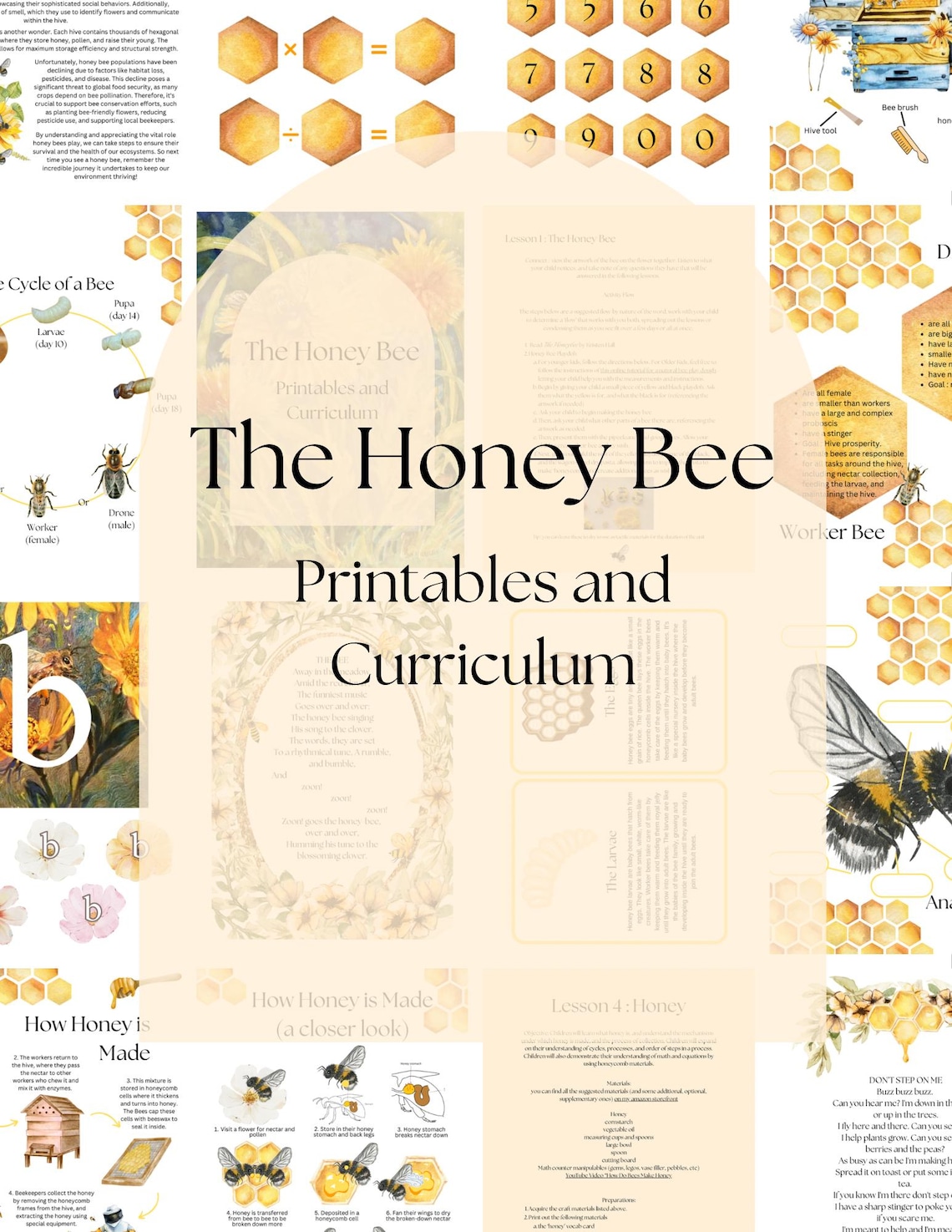 The Honey Bee Unit Plan, Bee Lesson Plan, Honey Curriculum, Homeschool ...