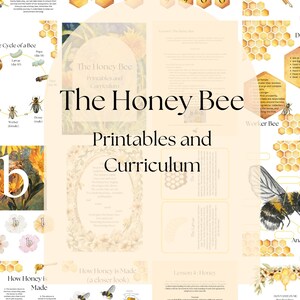 The Honey Bee Unit Plan, Bee Lesson Plan, Honey Curriculum, Homeschool ...