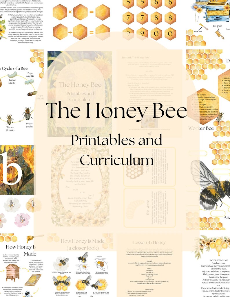 The Honey Bee Unit Plan, Bee Lesson Plan, Honey Curriculum, Homeschool ...