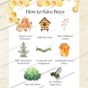 The Honey Bee Unit Plan, Bee Lesson Plan, Honey Curriculum, Homeschool ...